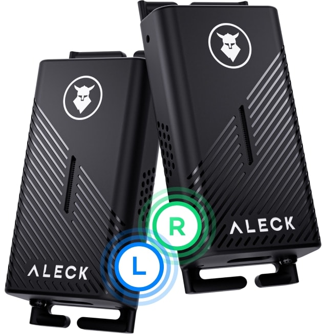 Aleck Punks Quick Start Guide - ALECK